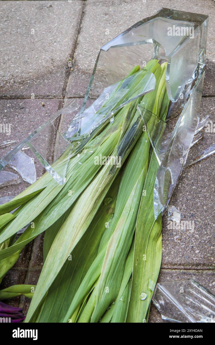 Broken lily hi-res stock photography and images - Alamy