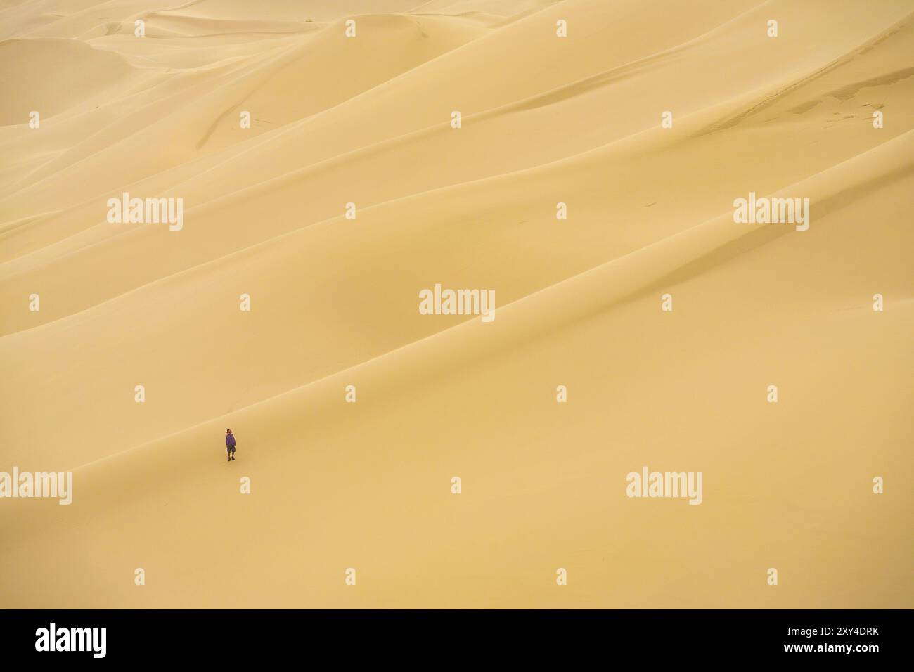 Providing scale hi-res stock photography and images - Alamy