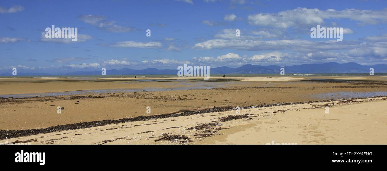 Low tide at Marahau beach. Idyllic landscape near Nelson, New Zealand ...