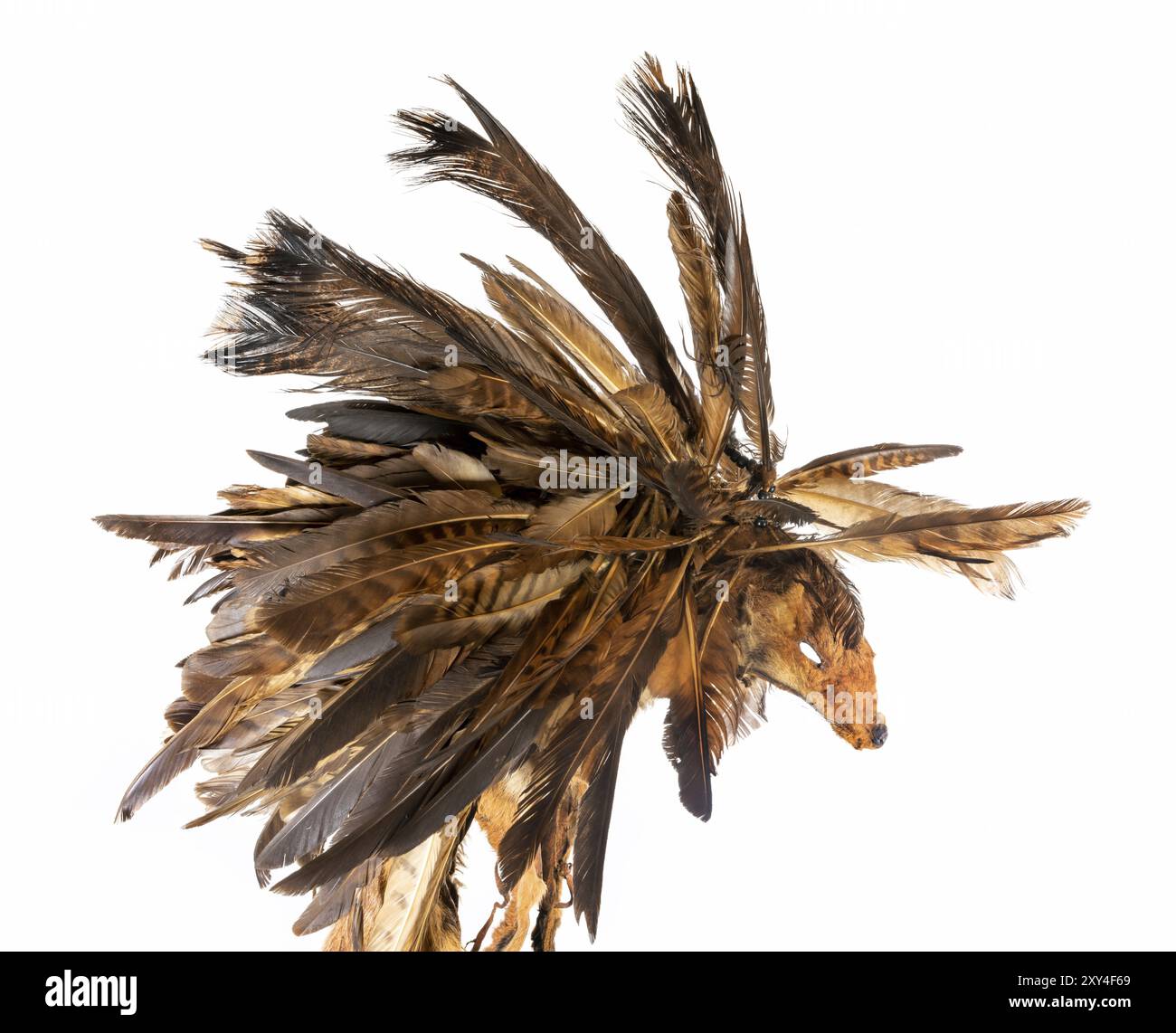 Replica of an old feather cap made of fox fur and buzzard feathers of ...