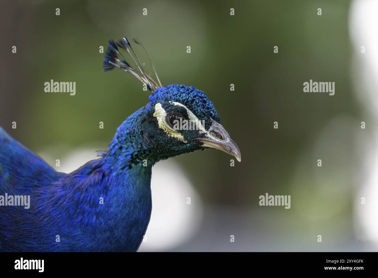 Scene from Wisconsin zoo park Stock Photo - Alamy