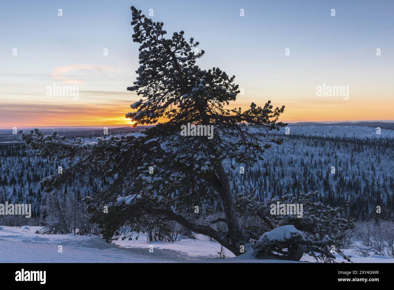 Sunset, Muddus National Park, Laponia World Heritage Site, Norrbotten ...