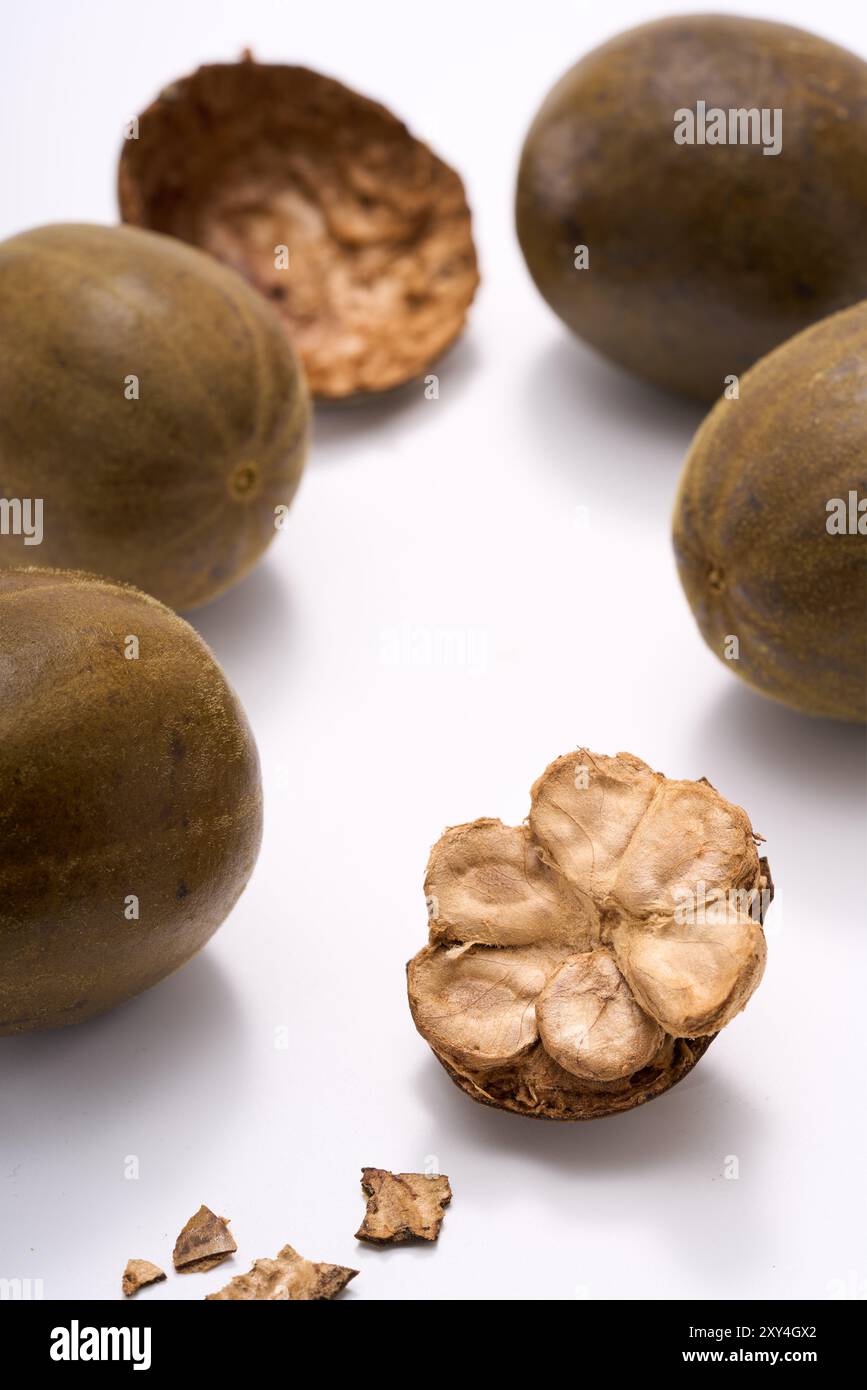 Traditional Chinese medicinal herb monk fruit, white background Stock ...