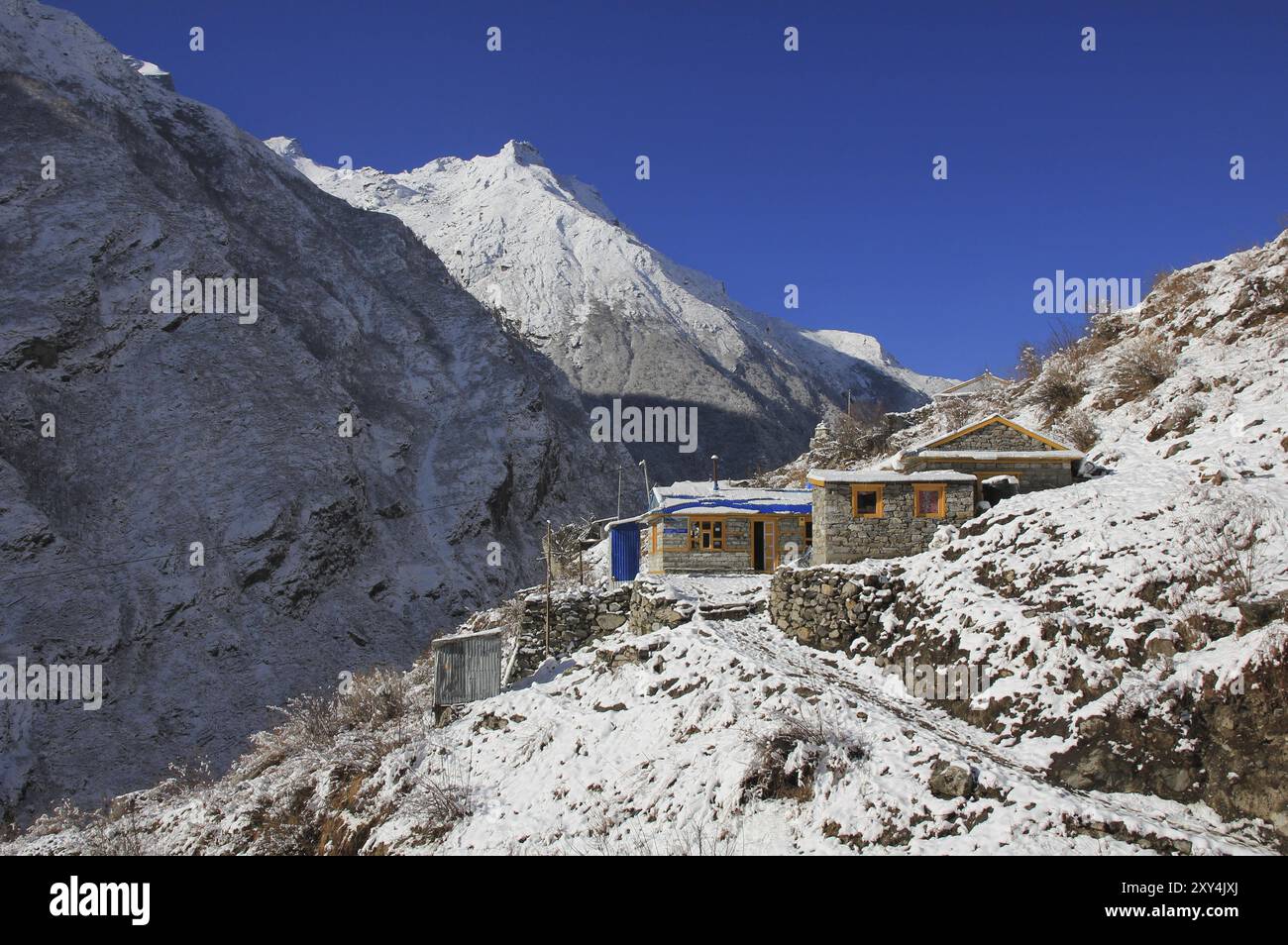 Spring scene in the Langtang National Park, Nepal, Asia Stock Photo - Alamy
