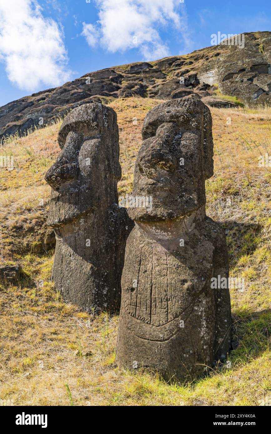 Moai statue rano raraku big hi-res stock photography and images - Alamy