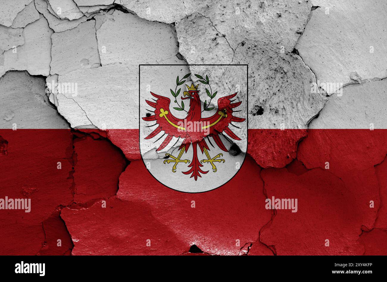 Flag of Tyrol painted on cracked wall Stock Photo - Alamy