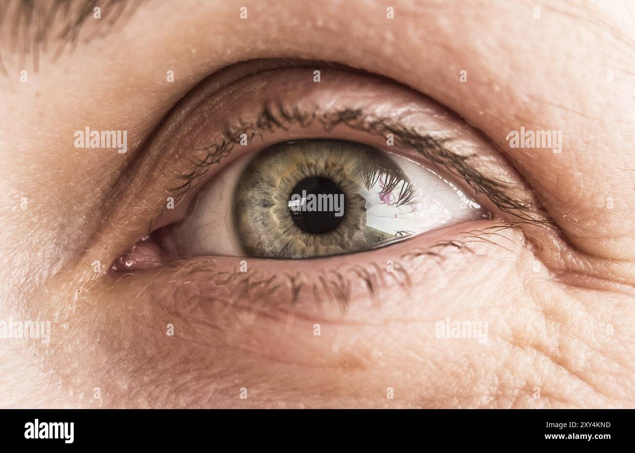 Photo of an eye hi-res stock photography and images - Alamy