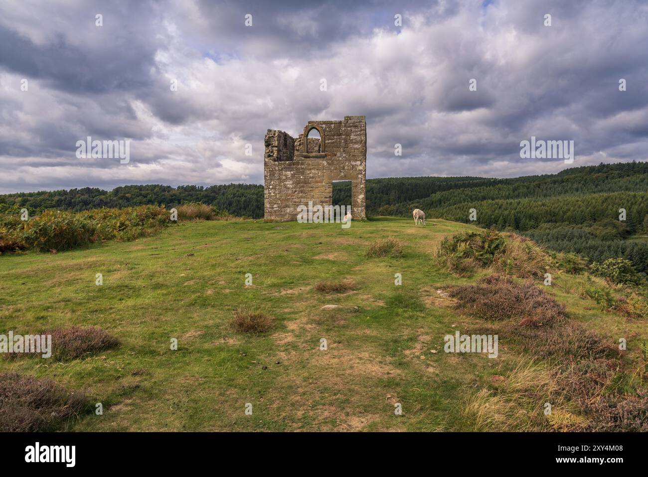North York Moors landscape, looking at Skelton Tower, seen from the ...