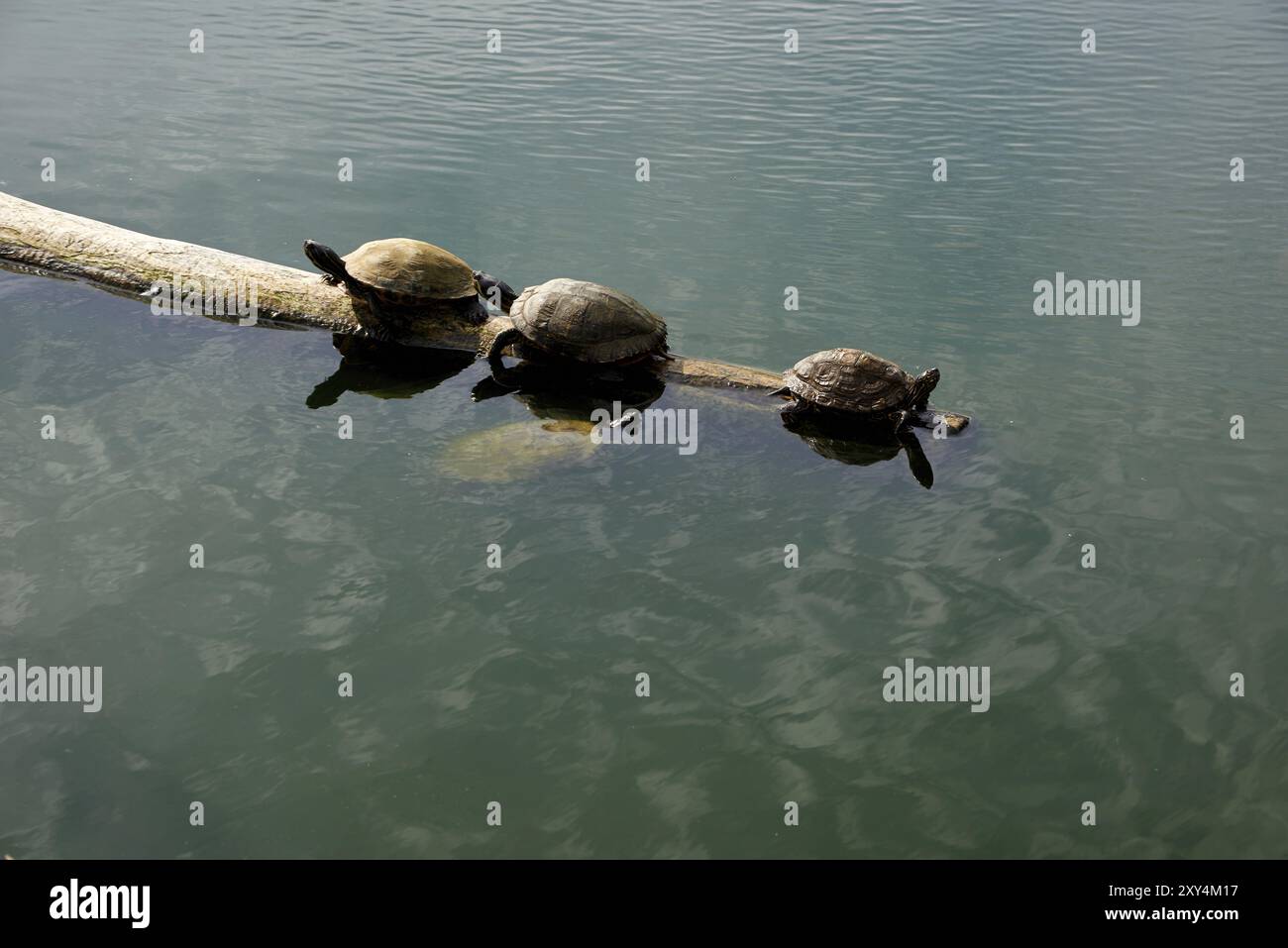 The right direction Stock Photo - Alamy