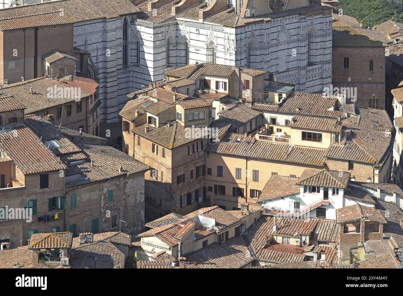 Siena house view campanile hi-res stock photography and images - Alamy