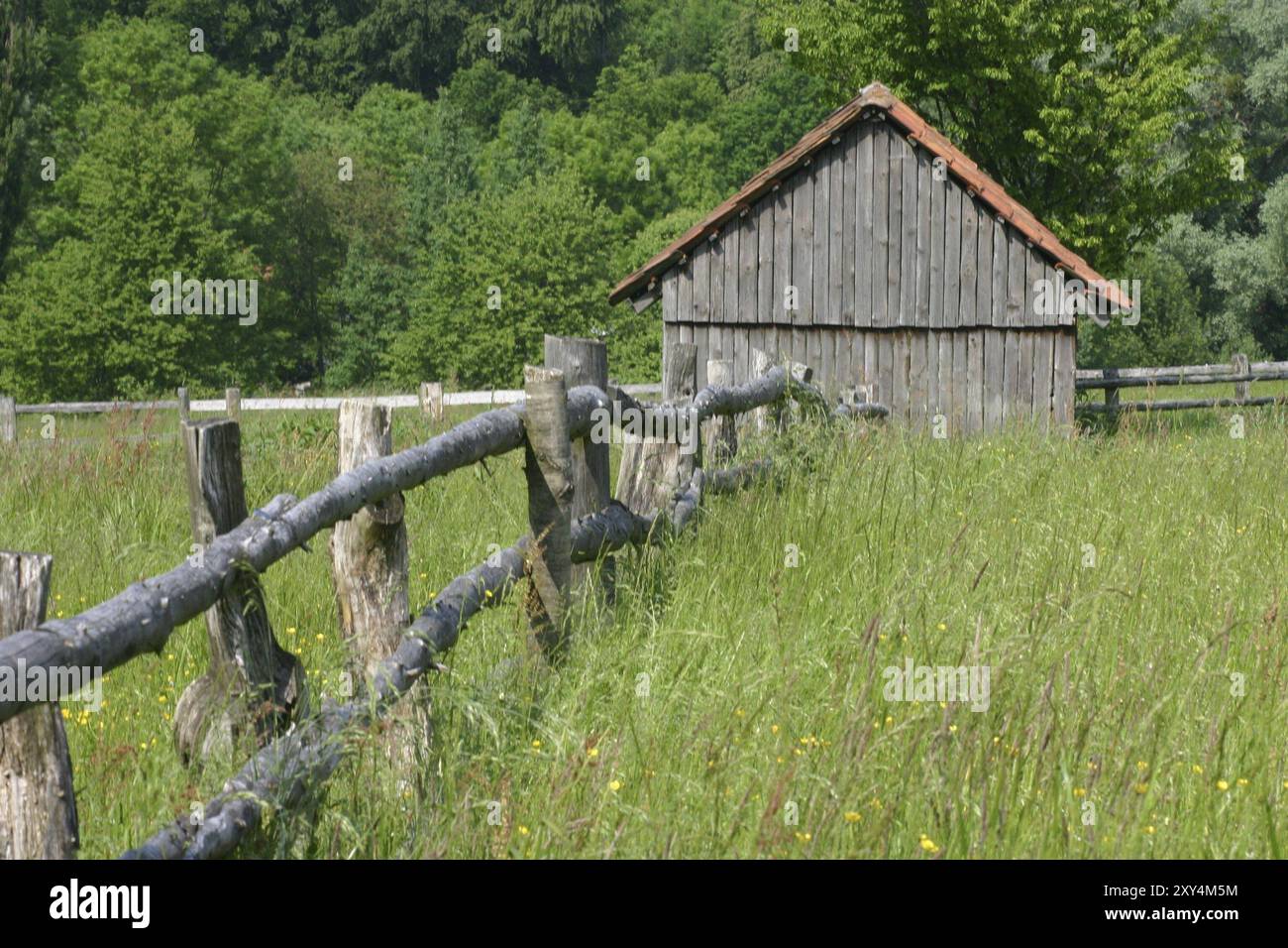 Pasture with stable and fence Stock Photo - Alamy