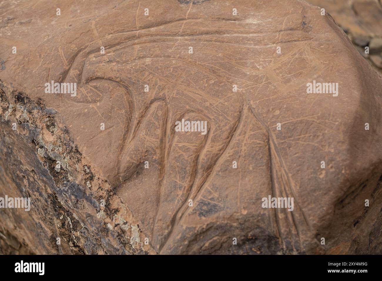 Neolithic rock art carved hi-res stock photography and images - Alamy