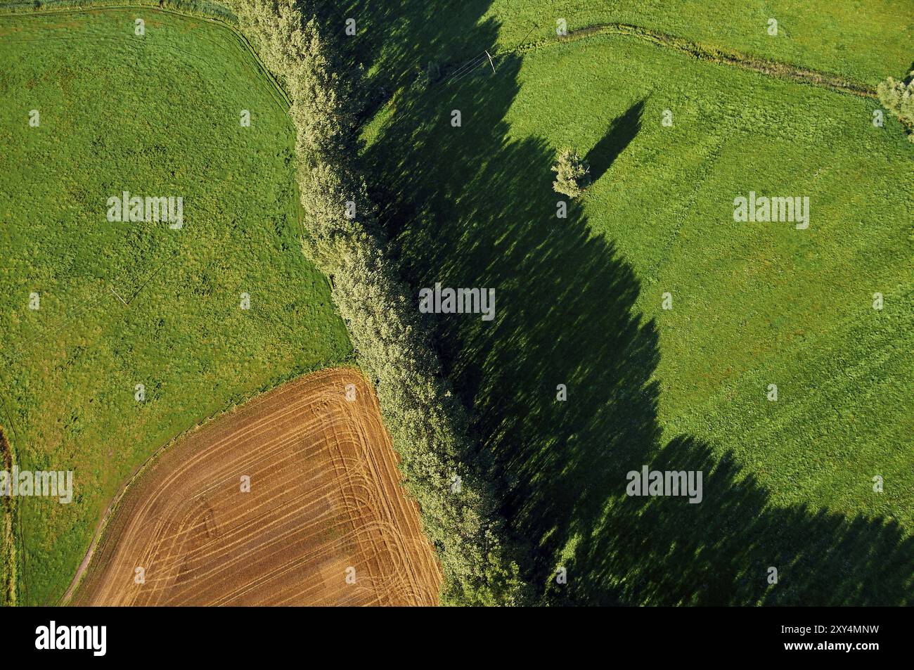 Aerial field in the evening Stock Photo - Alamy