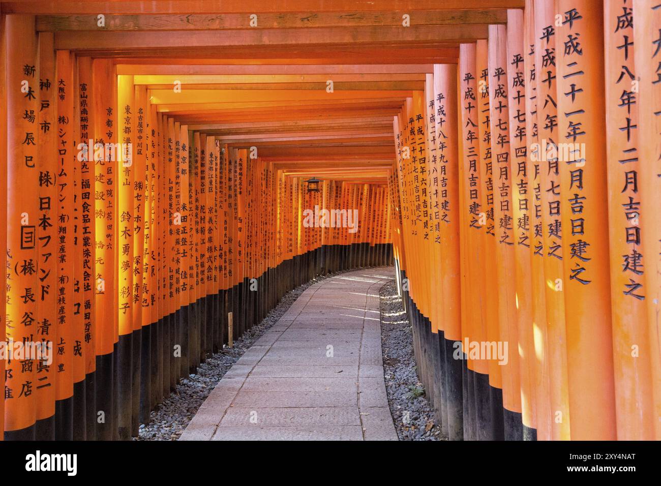 Kyoto, Japan, December 13, 2014: Orange gates called torii at the ...