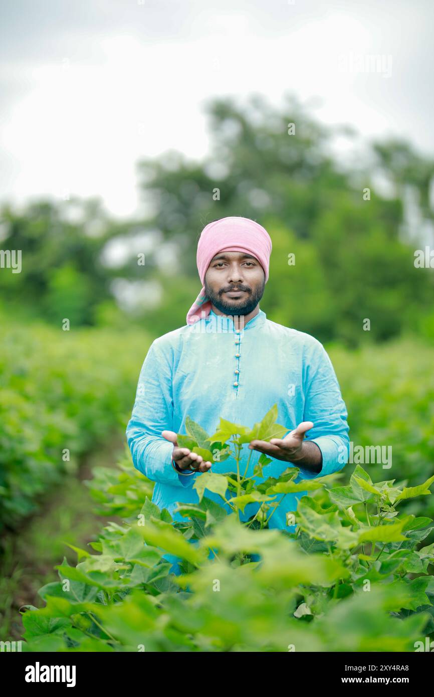 happy young Indian farmer standing in farm, cotton tree farming ' happy ...