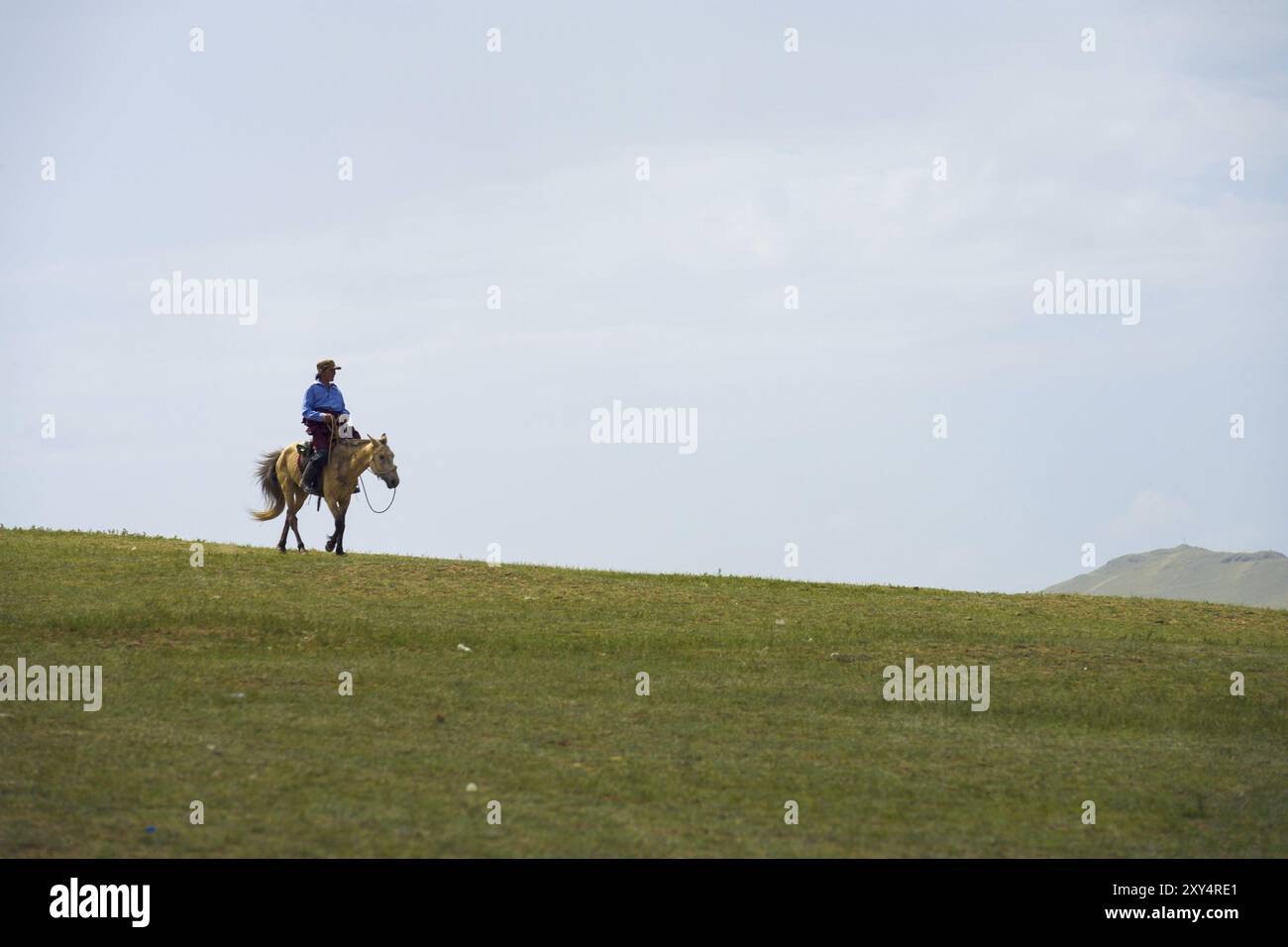 Guy riding horse on grass hi-res stock photography and images - Alamy