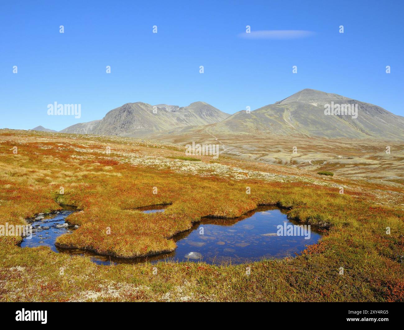 Rondane National Park in Norway.rondane National Park in Norway Stock ...