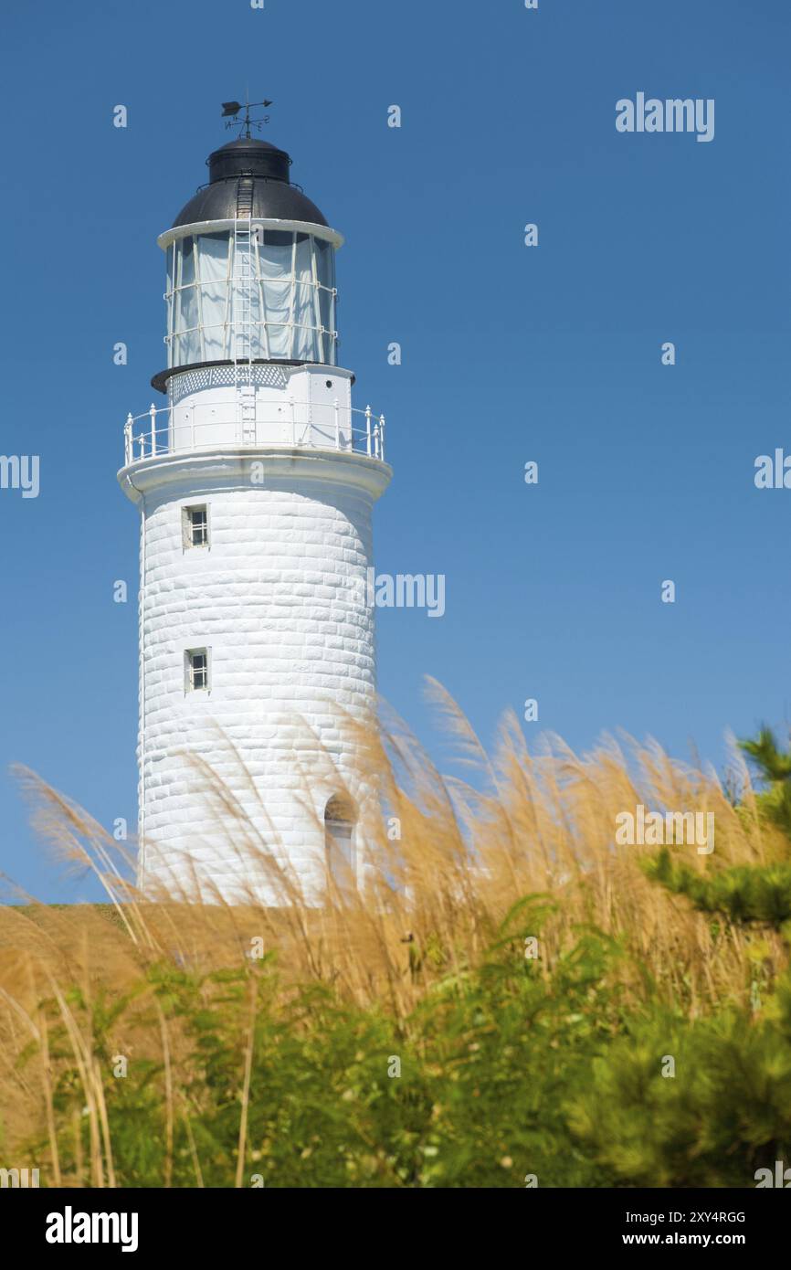 A beautiful white lighthouse behind a sea of tall grass on the island ...