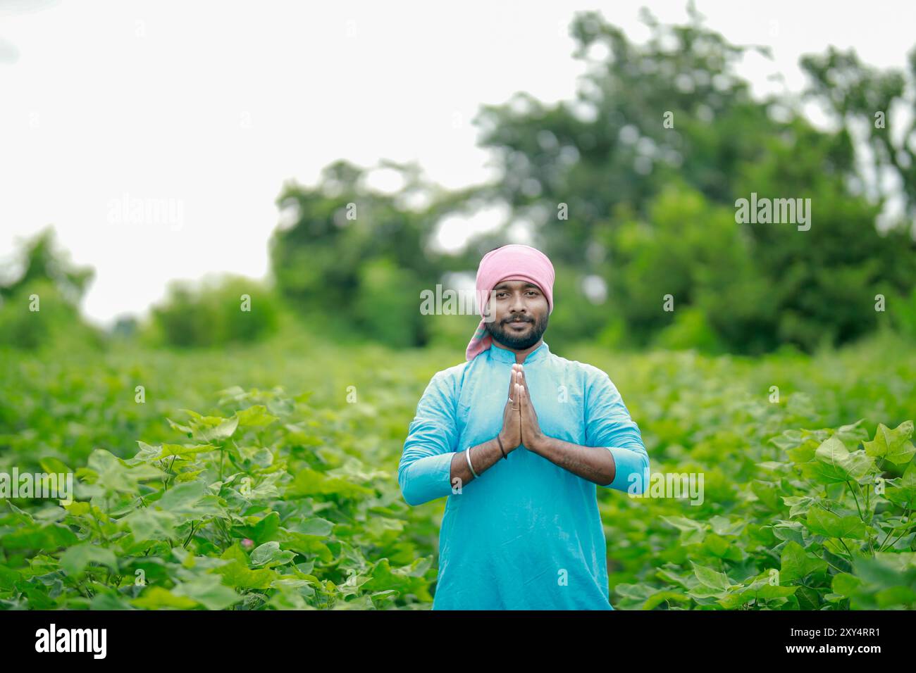 happy young Indian farmer standing in farm, cotton tree farming ' happy ...