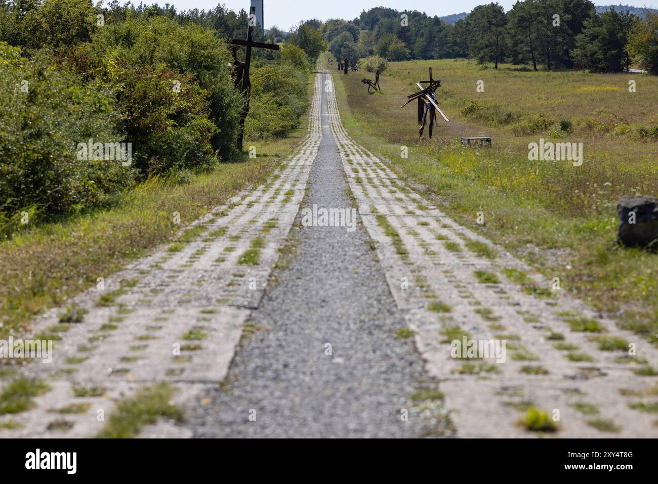 Point Alpha 27082024 - Ein Kolonnenweg auf der ehemaligen DDR-Seite ...