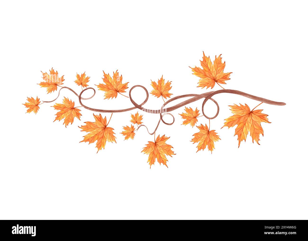 Maple branch with orange fall leaves. Autumn foliage composition. Hand ...