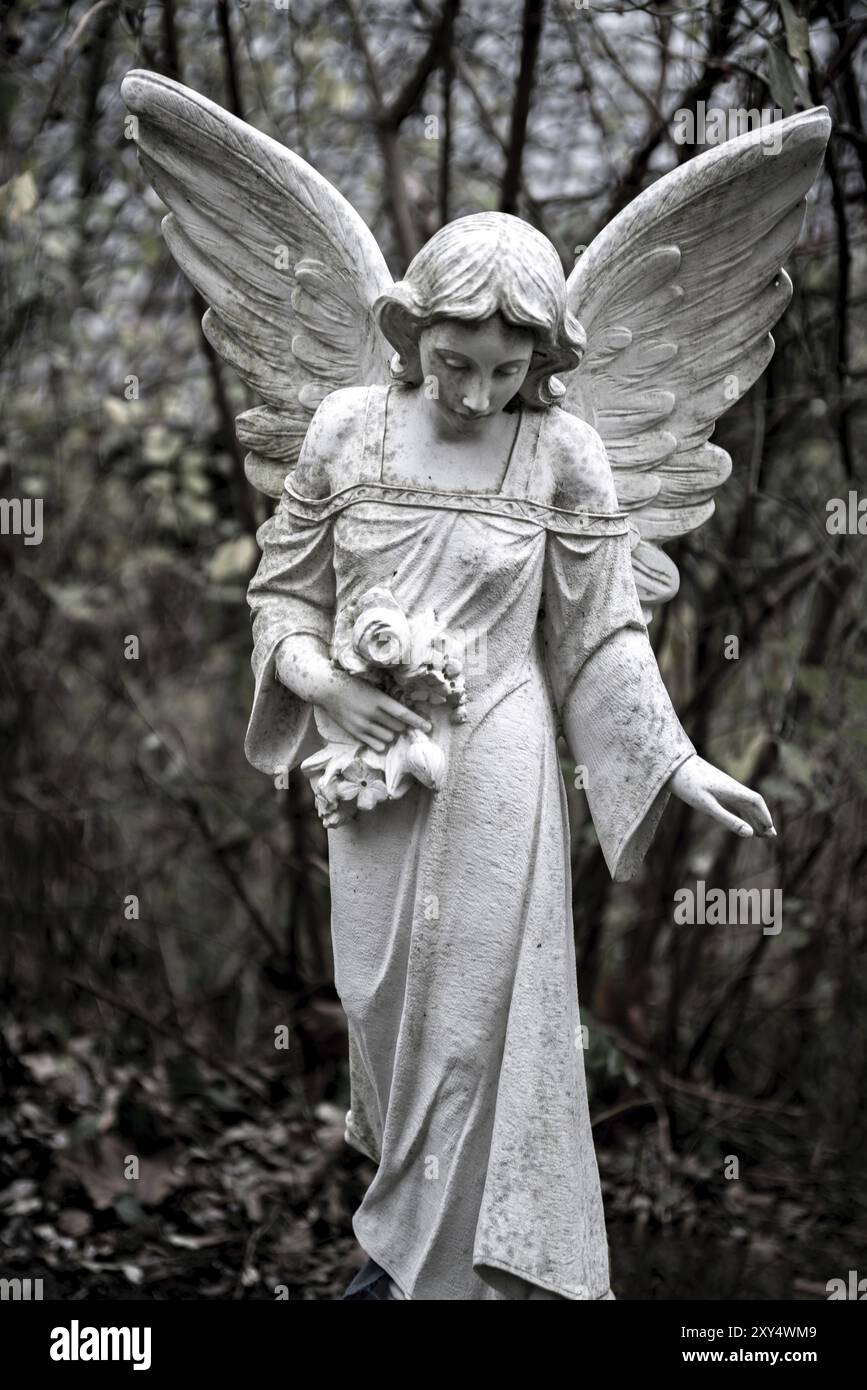 Statue of a mourning angel on a graveyard Stock Photo - Alamy