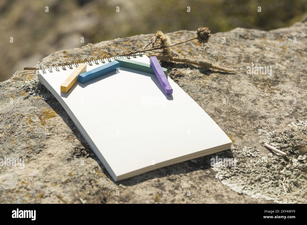 Close-up artwork for the designer. A blank notepad for drawing pastel ...