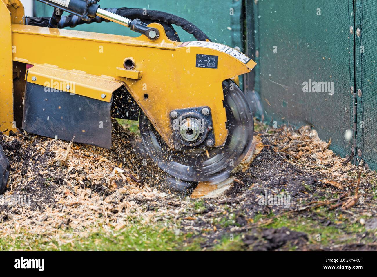 Tree root cutter Stock Photo - Alamy
