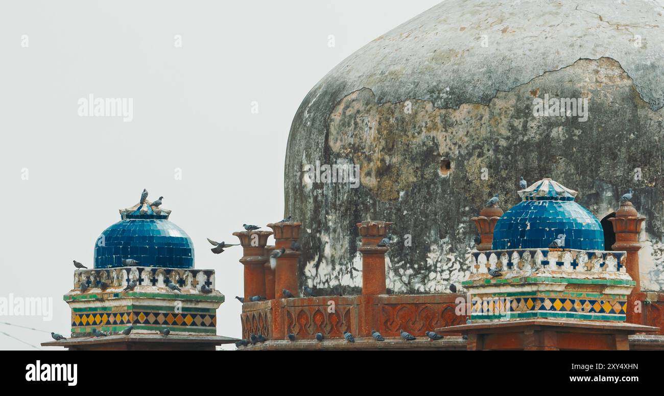 Mughal emperor babur hi-res stock photography and images - Alamy