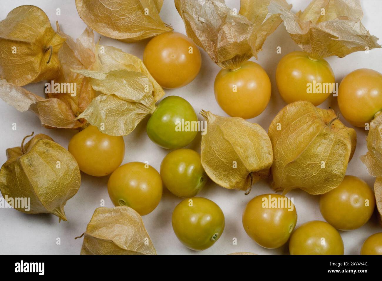 Husk cherries hi-res stock photography and images - Alamy