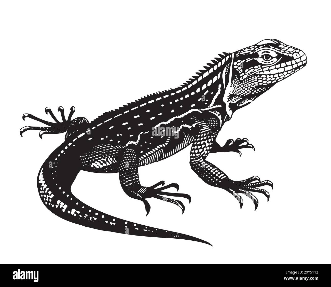 Lizard iguana isolated. Black and white reptile. Vector illustration ...
