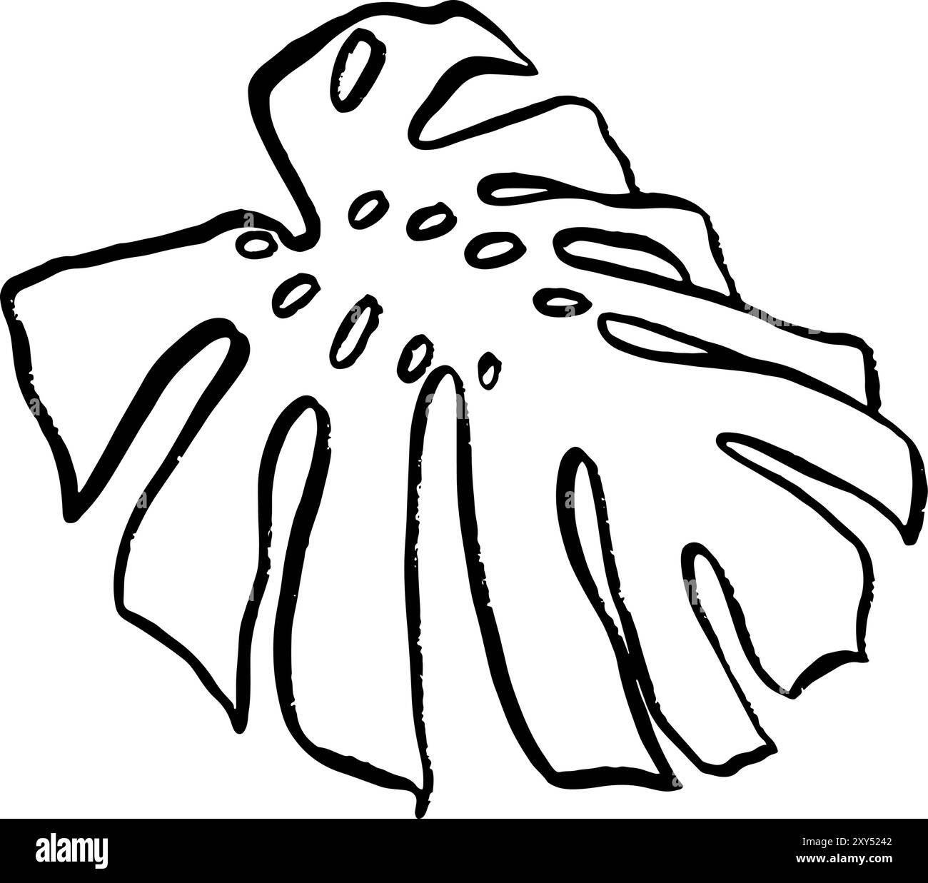 Monstera leaf black linear Stock Vector Images - Alamy
