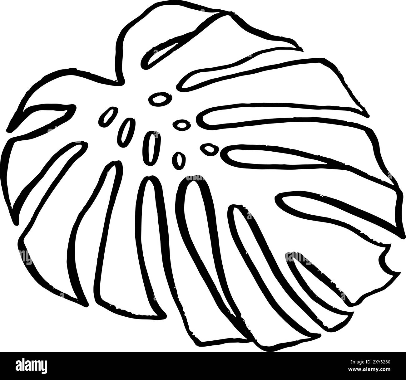 Monstera leaf black linear Stock Vector Images - Alamy