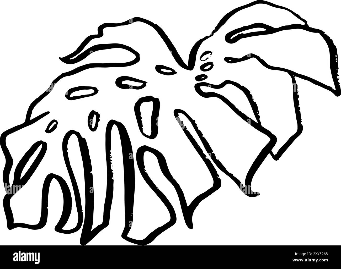 Monstera leaf black linear Cut Out Stock Images & Pictures - Alamy