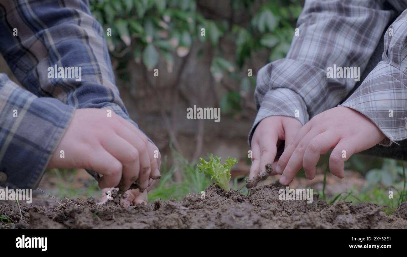 Boy planting a new tree, concept Save the Earth, save the world, save ...