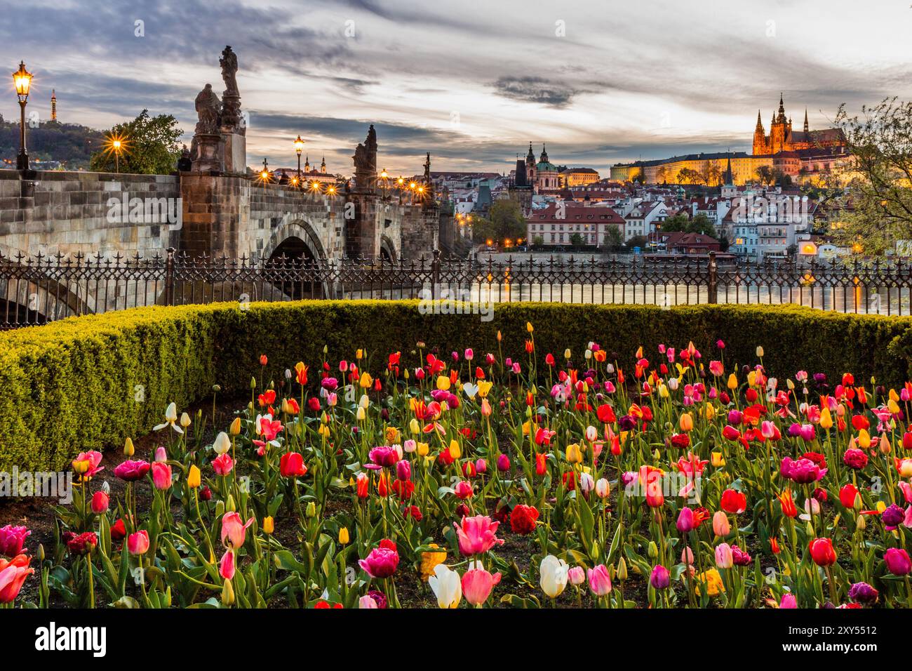 Prague castle garden tulips hi-res stock photography and images - Alamy