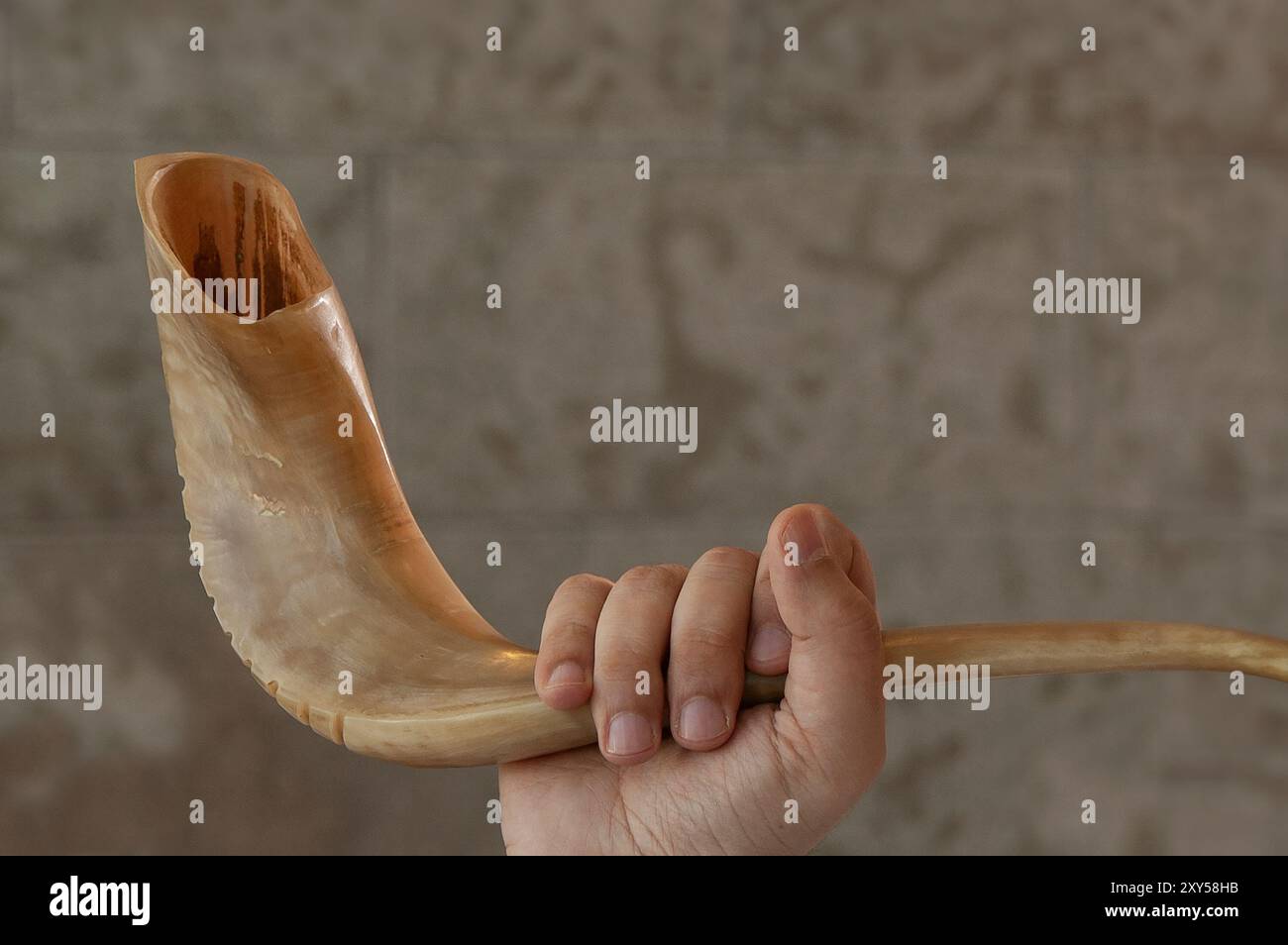 A man holds a polished ram's horn hollowed and carved into a shofar ...