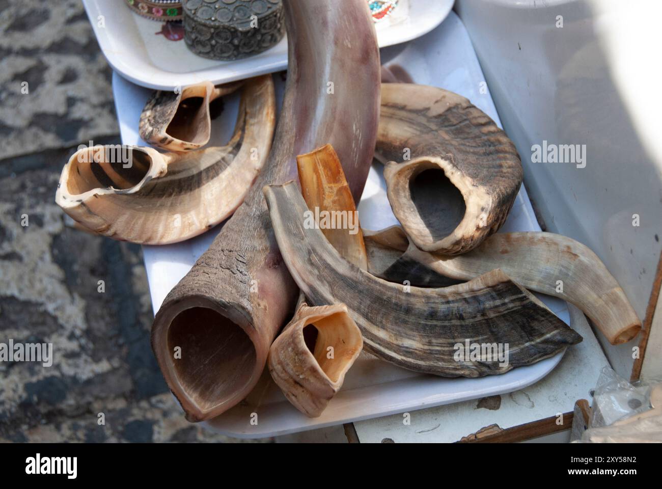 A collection of shofars carved from the horns of kosher animals and ...