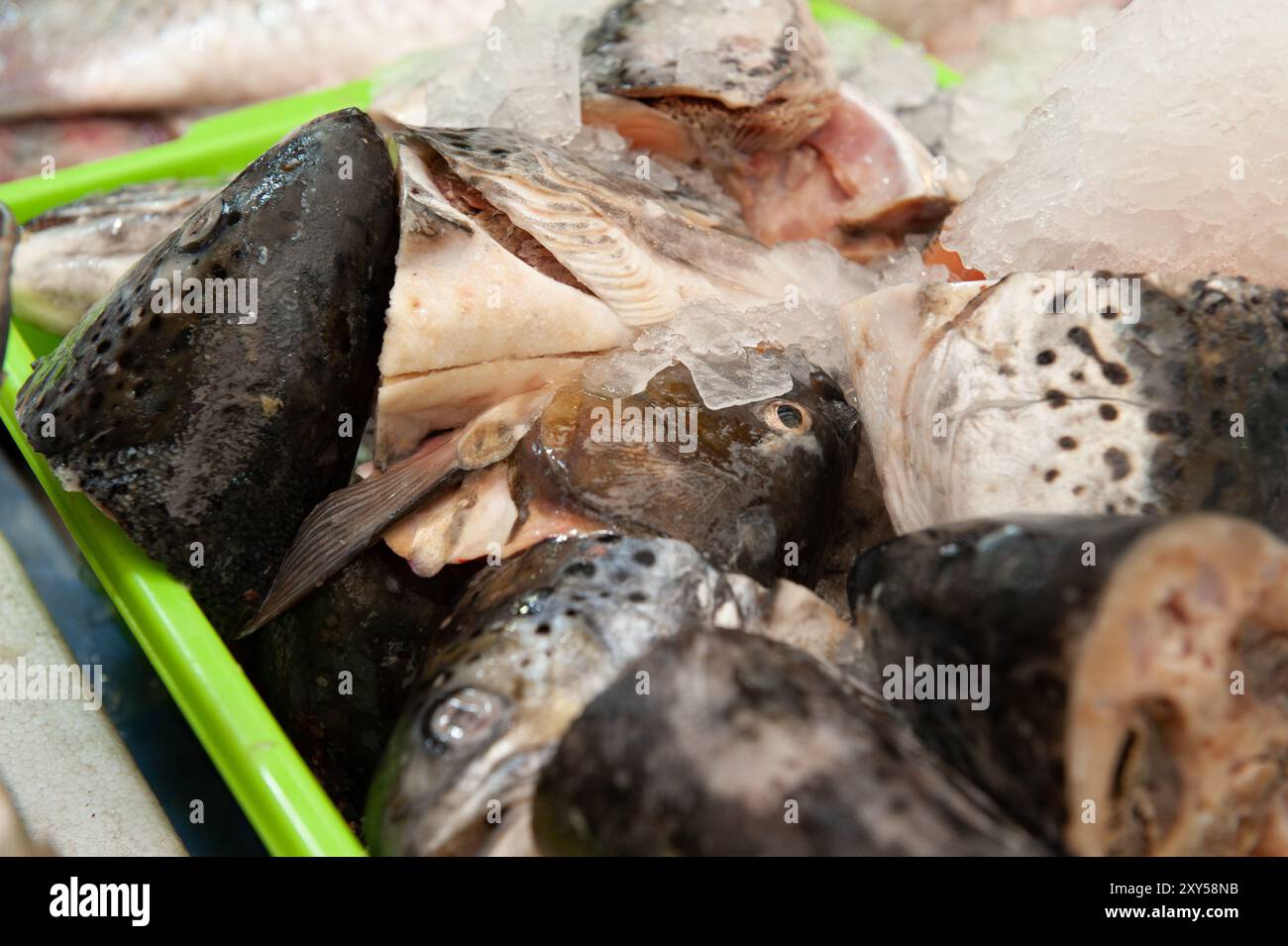 Symbolic fish heads sold in a market prior to the Jewish New Year of ...