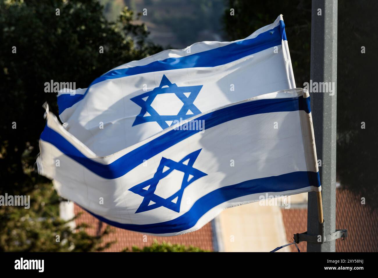 Israeli national symbol hi-res stock photography and images - Alamy