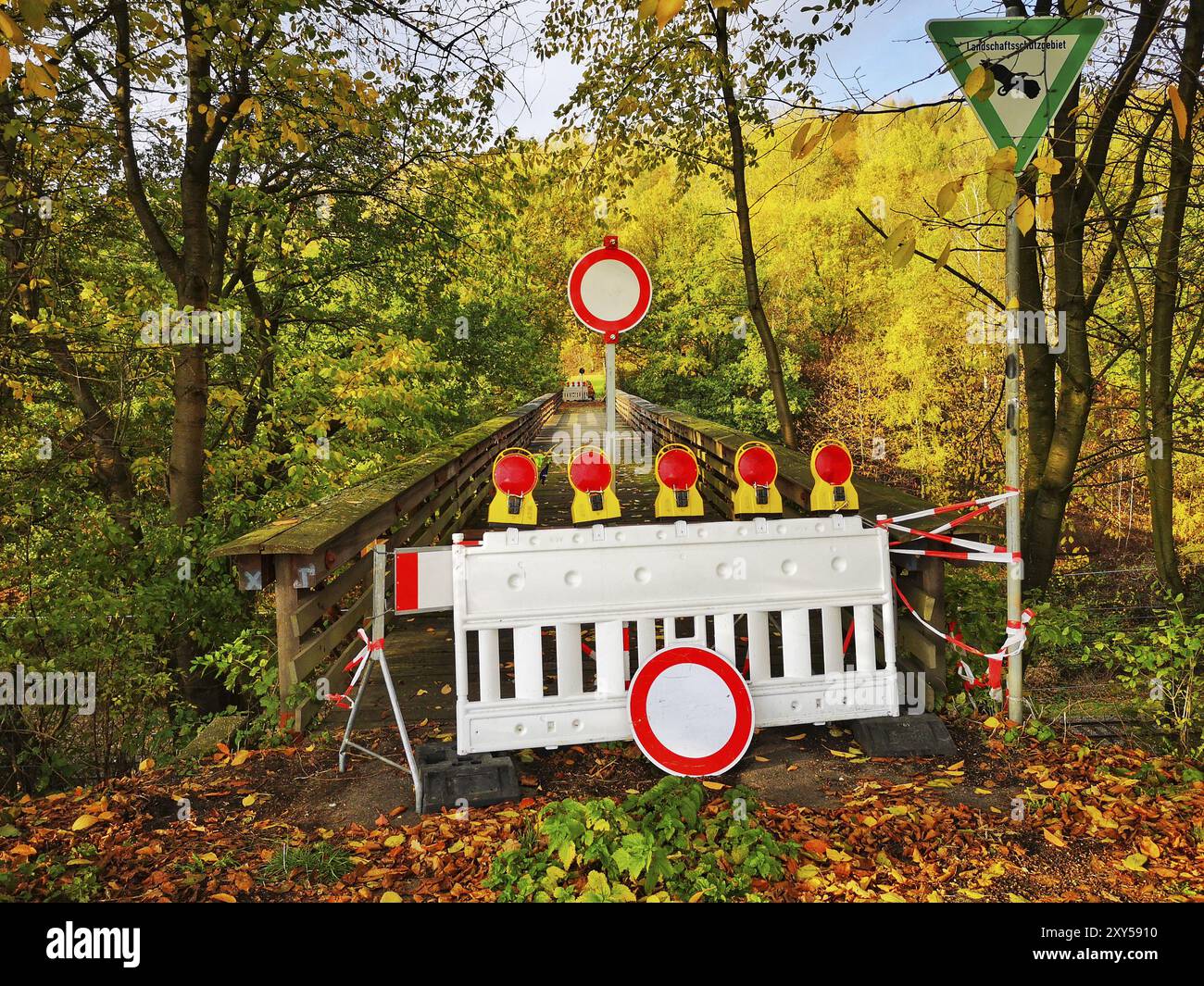 Construction site in the forest at a bridge Stock Photo - Alamy