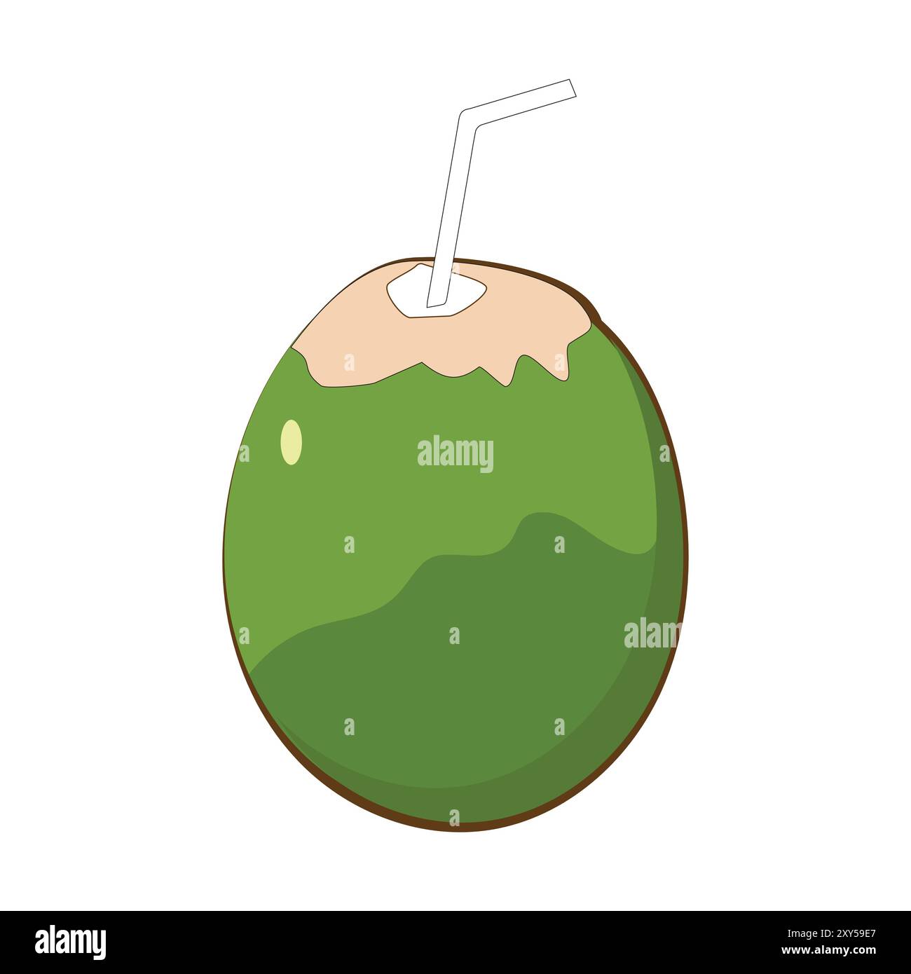 Green coconut vector graphics, Young coconut water icon. Summer coconut ...