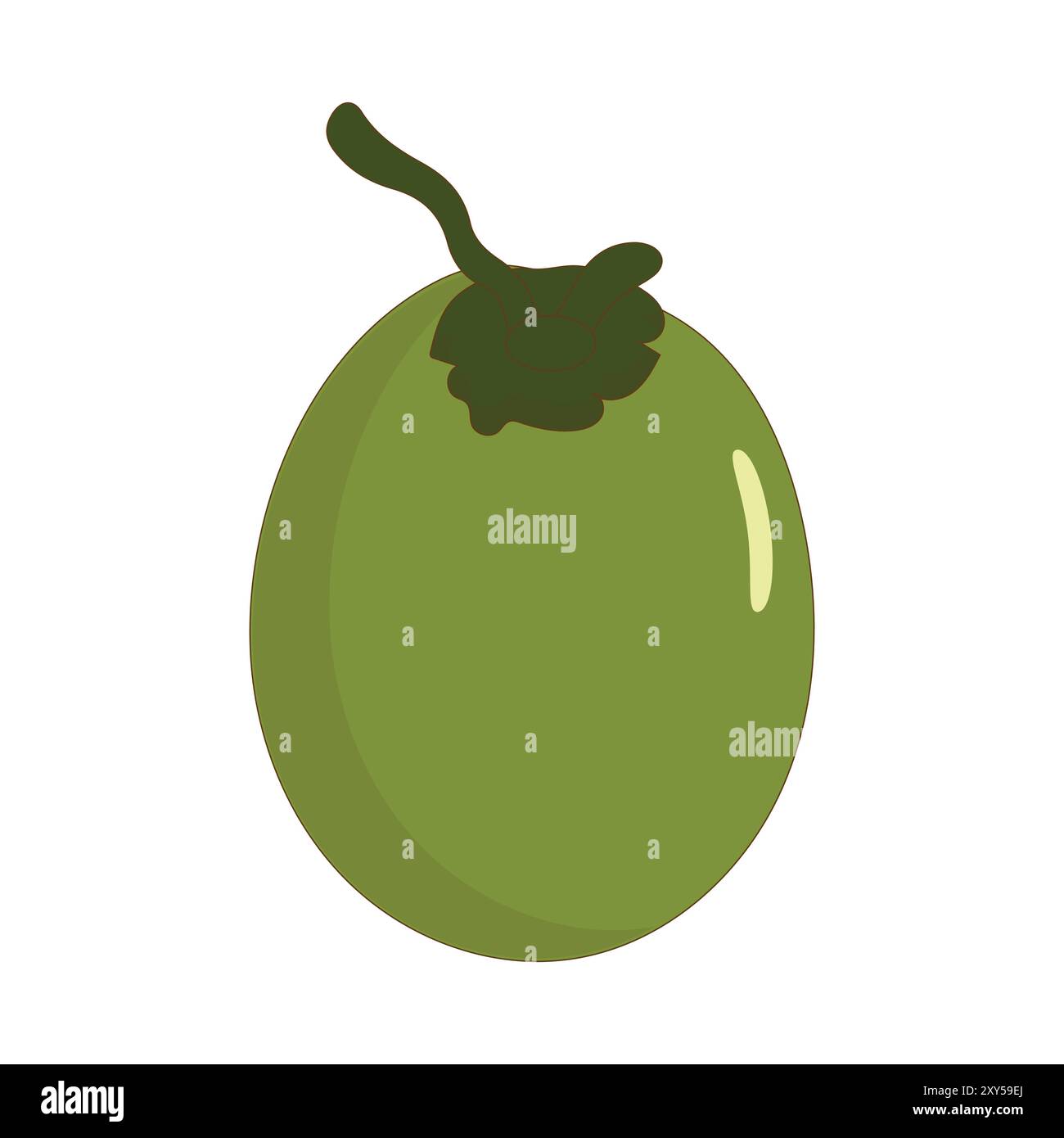 Green coconut vector graphics, Young coconut water icon. Summer coconut ...