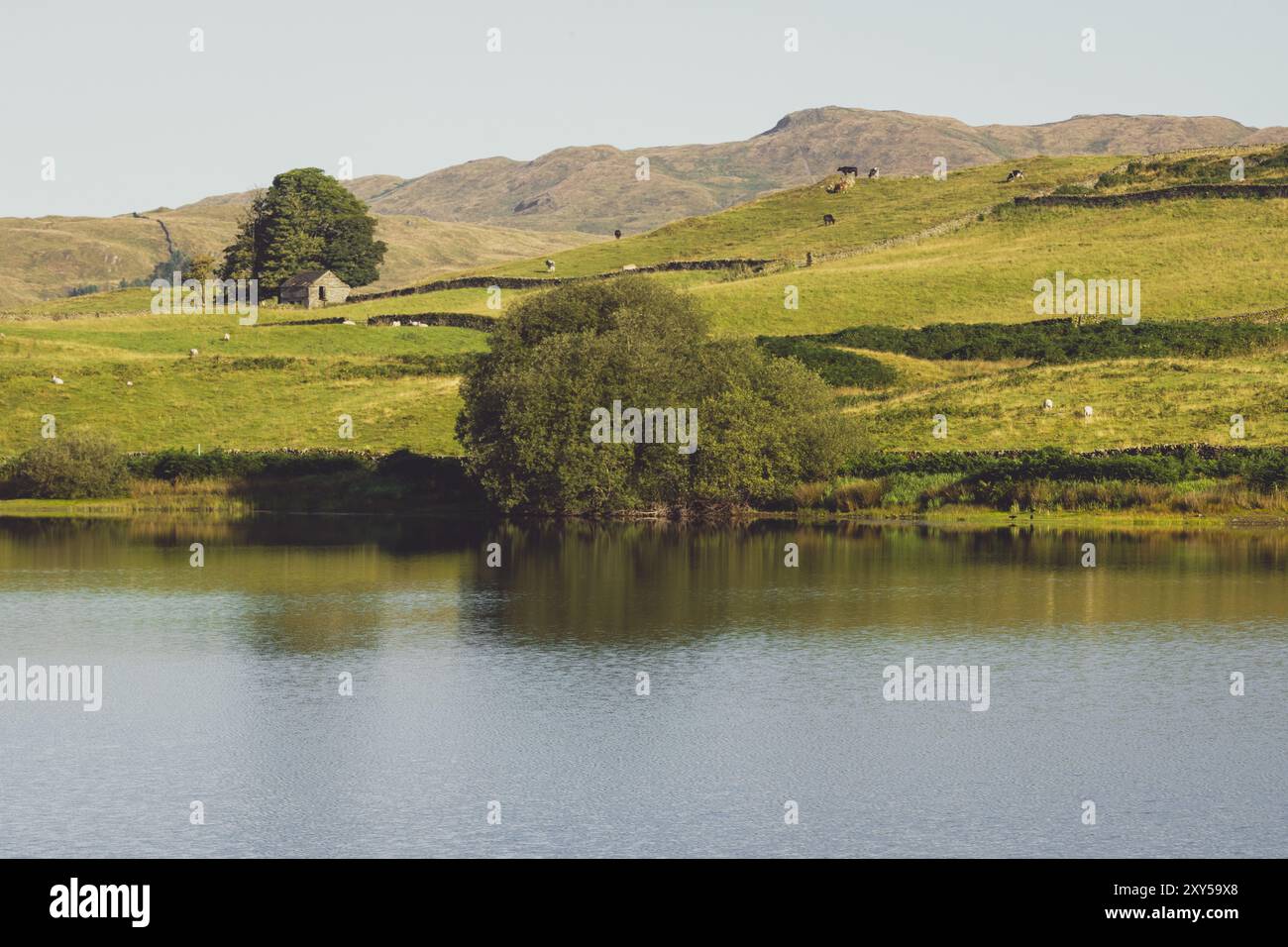 Dubbs reservoir hi-res stock photography and images - Alamy