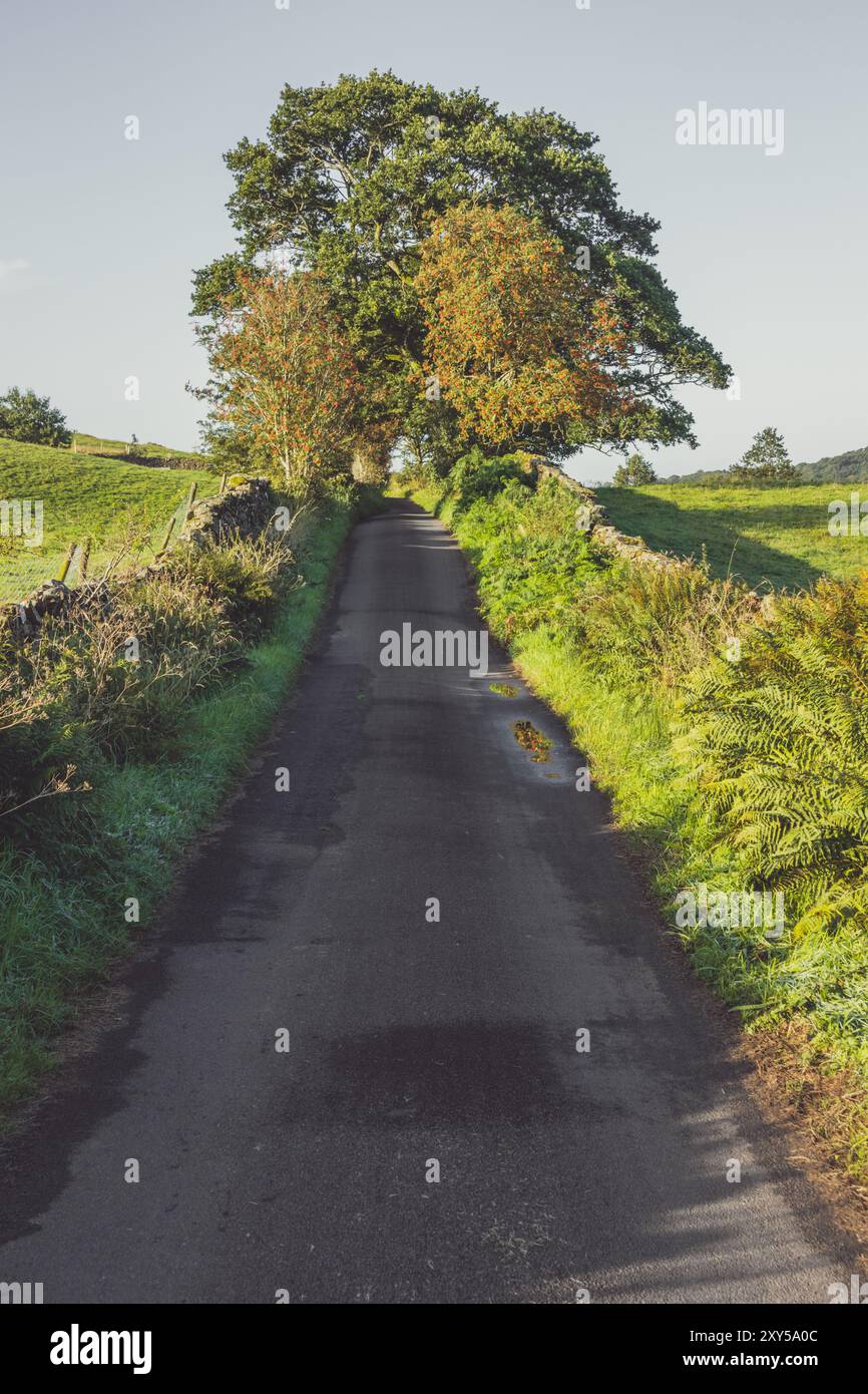 A single track country lane in the Lake District National Park in ...