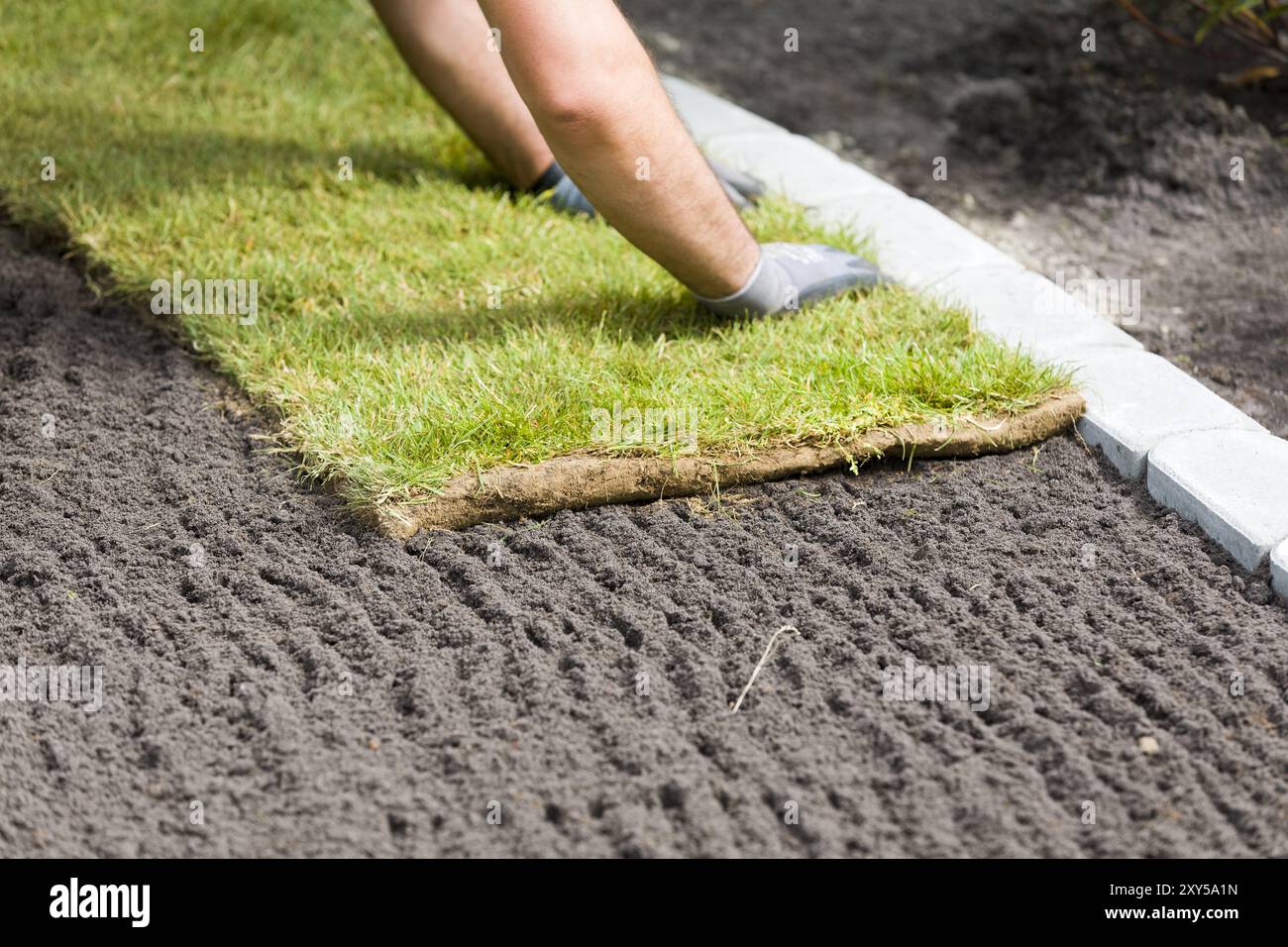 Turf and horticulture hi-res stock photography and images - Alamy