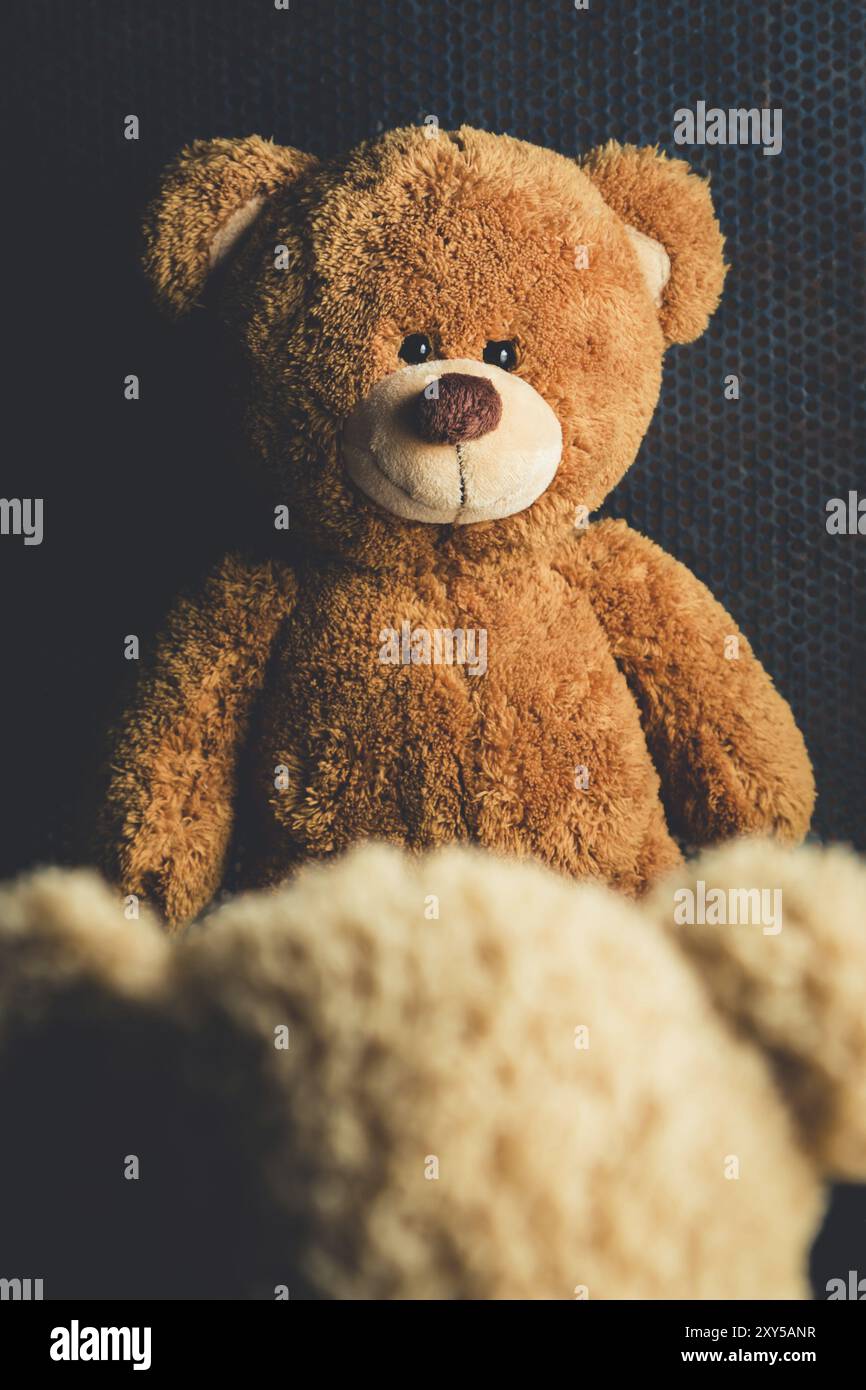 Unique Perspectives of Cute teddy bears with old metal background Stock ...
