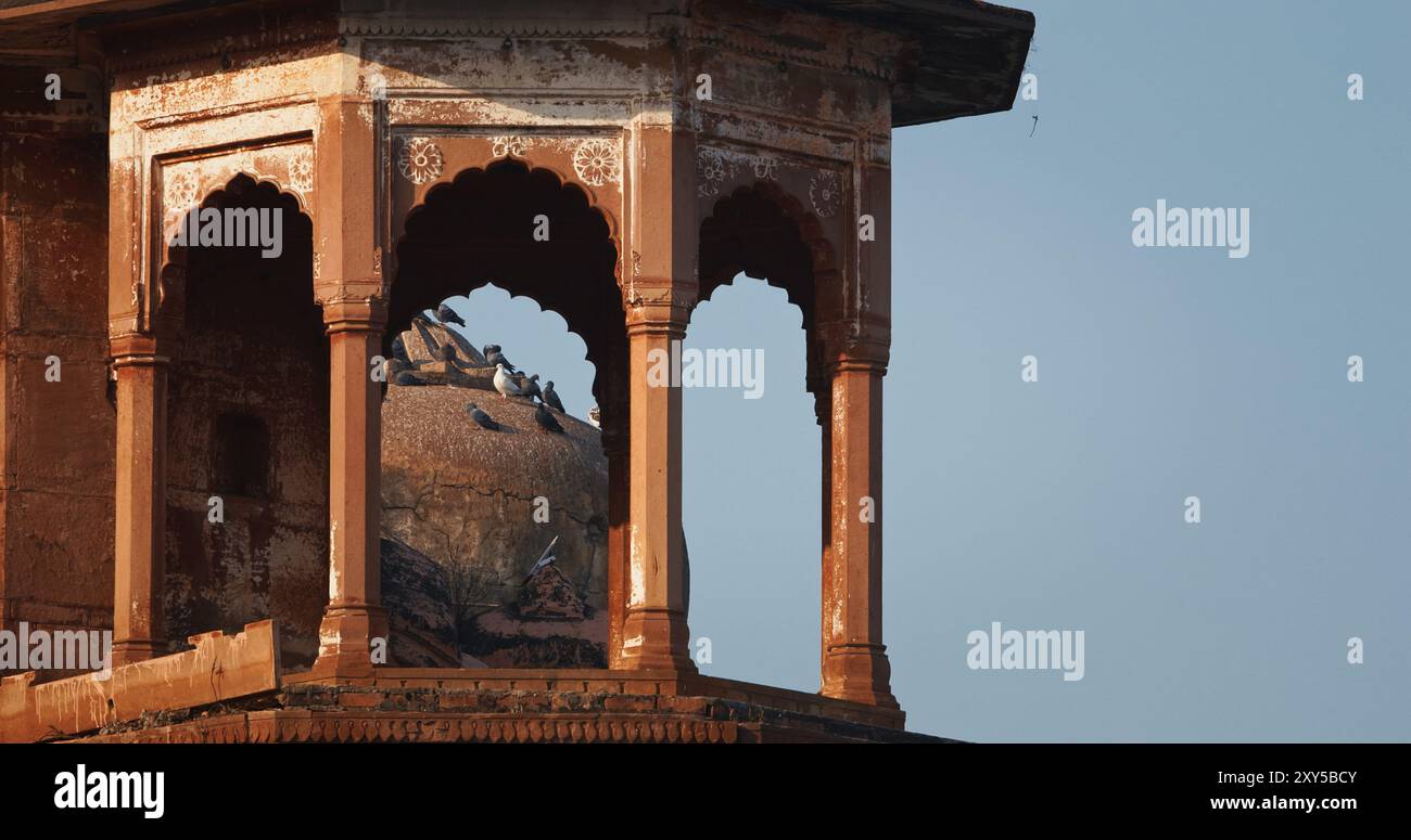 Varanasi, Uttar Pradesh, India. Pigeons Sit On Tower Of Het Singh Fort ...