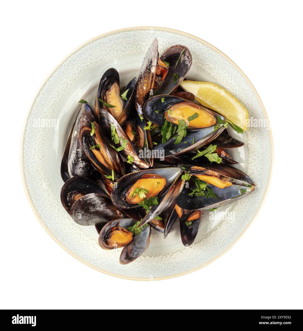 An overhead photo of a plate of cooked mussels, shot from above on a ...