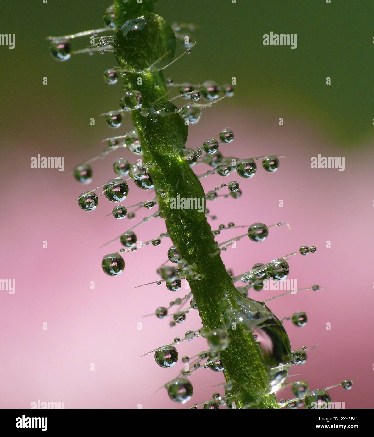 Tears tension hi-res stock photography and images - Alamy
